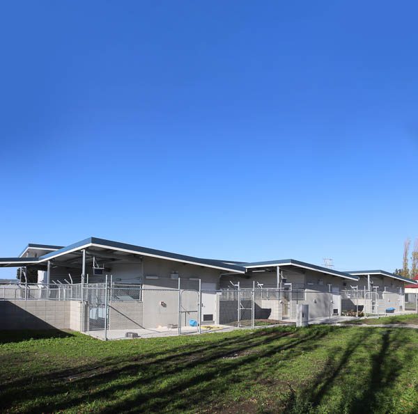 New home for RSPCA - Metropol